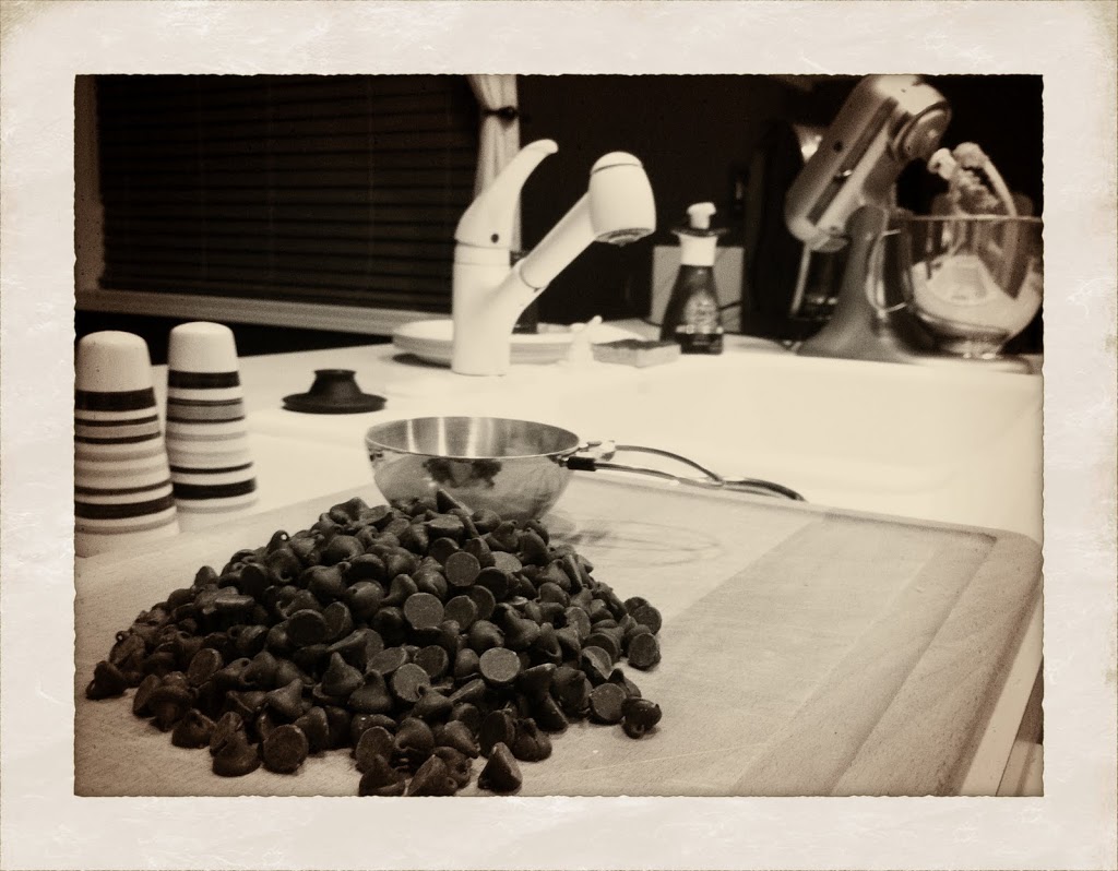 13 - Catz in the Kitchen