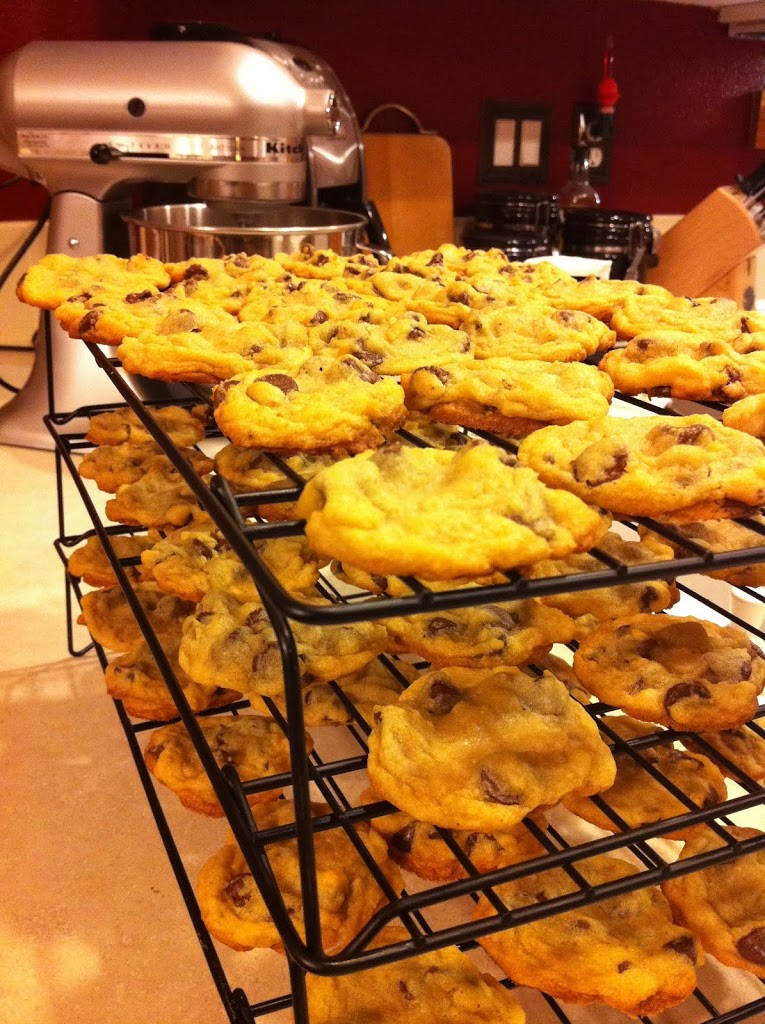 221 - Catz in the Kitchen