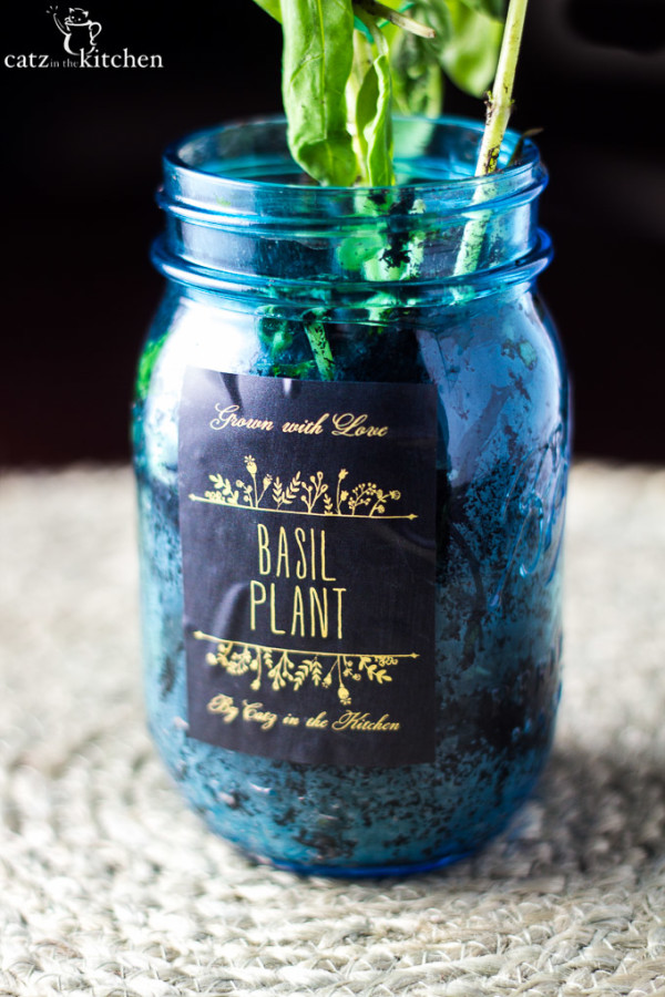 DIY Herb Mason Jar