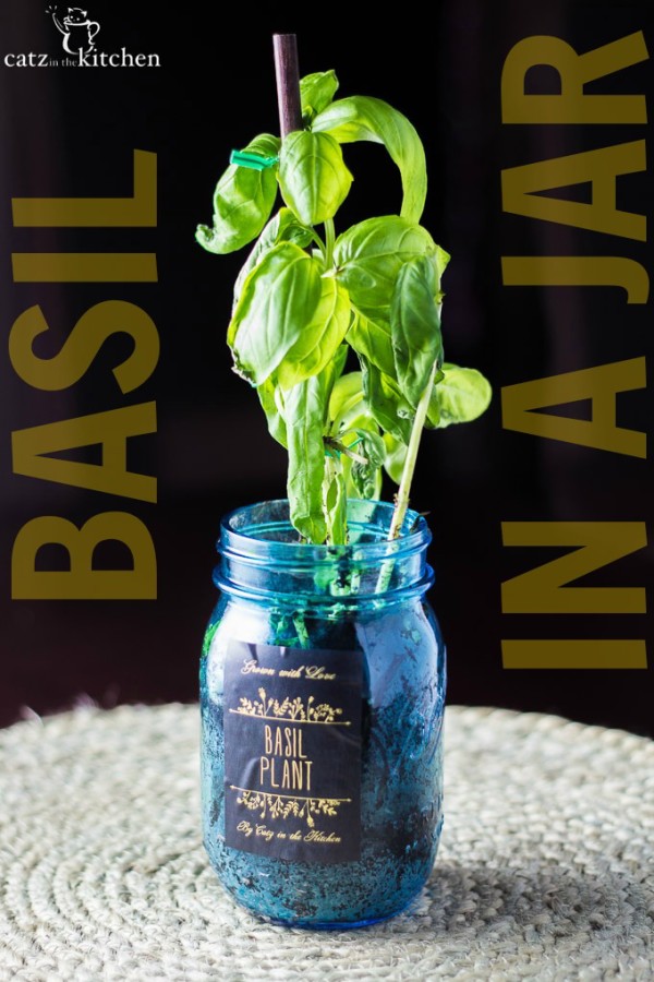 DIY Herb Mason Jar