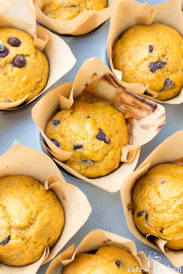 Chocolate Archives - Catz in the Kitchen