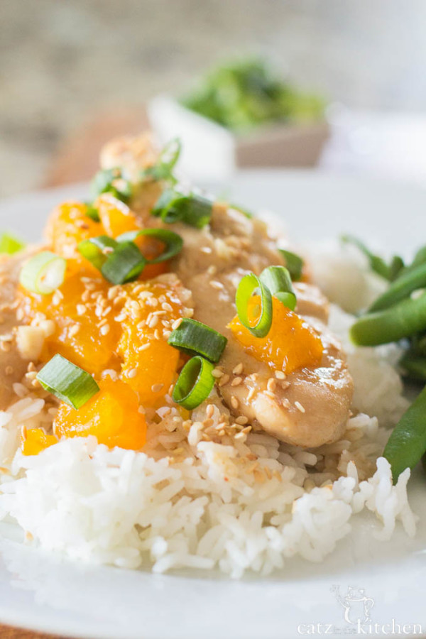 Honey Mandarin Chicken - Catz in the Kitchen