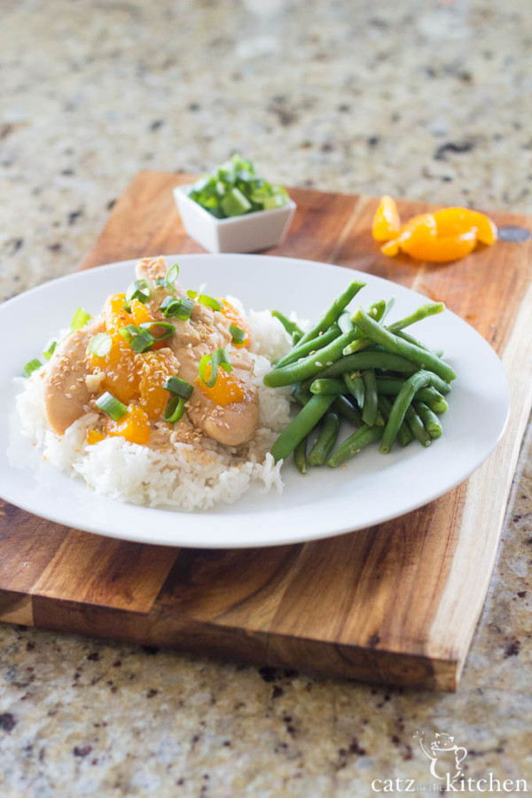 Honey Mandarin Chicken - Catz in the Kitchen