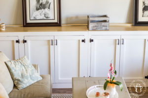 DIY Home Library Built-In - Catz in the Kitchen